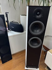 Loa Wilson Benesch Vector | VNAV - Mạng Nghe nhìn Việt nam