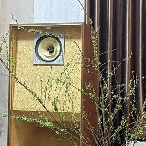 Lowther P6M kiềng vuông | VNAV - Mạng Nghe nhìn Việt nam