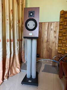 Giảm giá Marten Duke 2 | VNAV - Mạng Nghe nhìn Việt nam