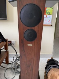 Bán loa Castle Inversion 50 | VNAV - Mạng Nghe nhìn Việt nam