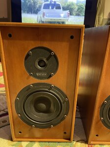 Spendor Sp3/1p | VNAV - Mạng Nghe nhìn Việt nam