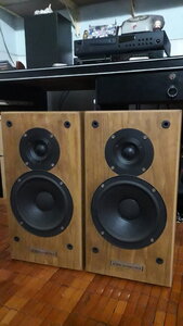 Loa anh Ruark Swordsman plus 2 | VNAV - Mạng Nghe nhìn Việt nam