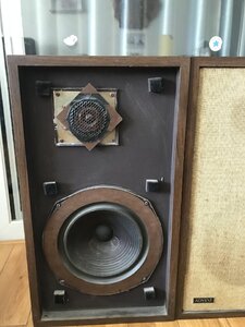 Bán 2 cặp loa hay giá lợn chết: Dynaco A25, advent khung tranh | VNAV ...