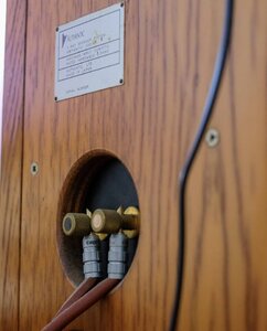 NEC Authentic 3001 | VNAV - Mạng Nghe nhìn Việt nam