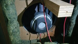 Loa Độc Authentic 3001 | VNAV - Mạng Nghe nhìn Việt nam